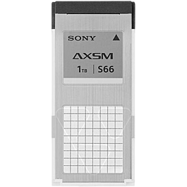 Sony AXS-A1TS66 1TB AXS Memory A Series card