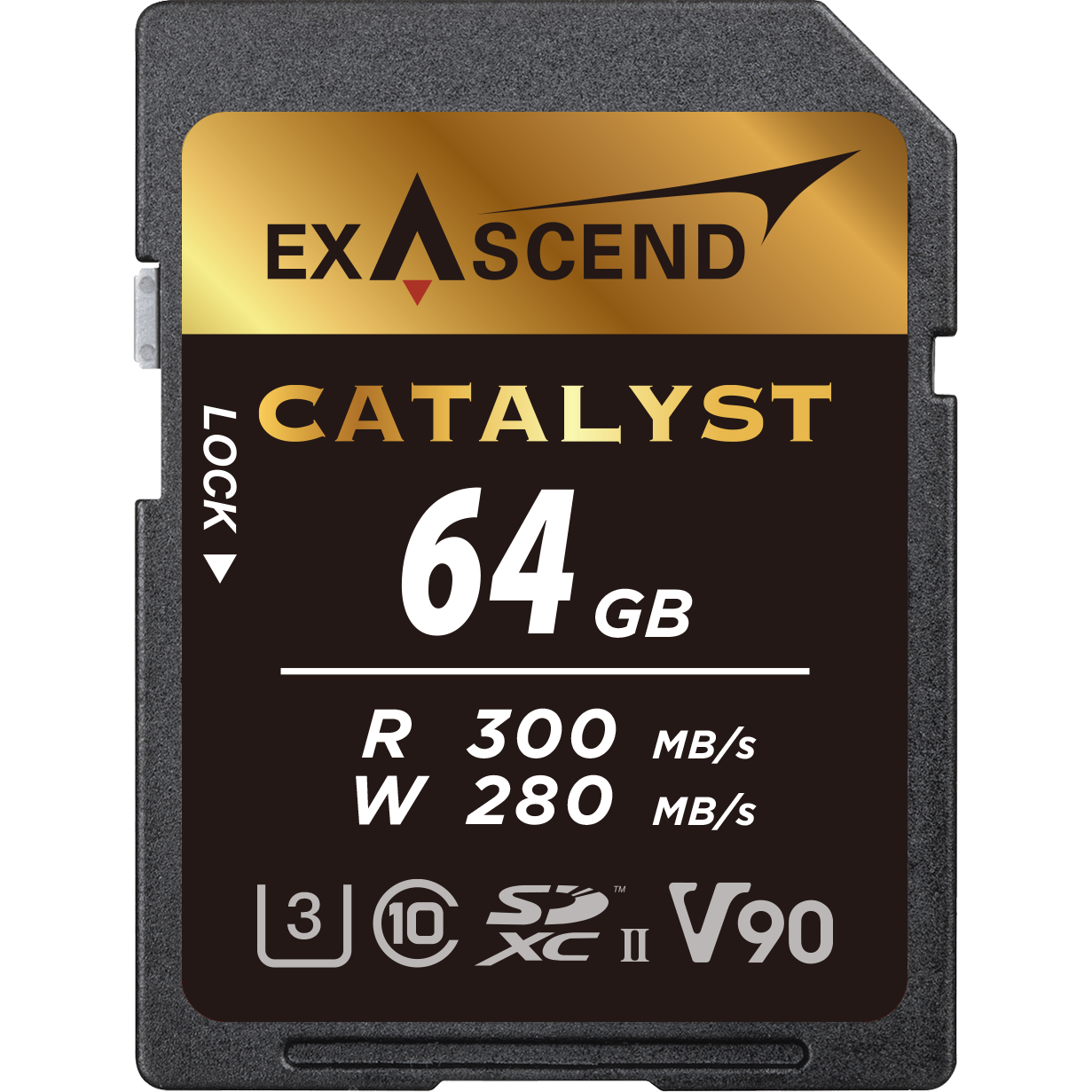 Exascend 64 GB Catalyst SDXC-kaart UHS-II, V90